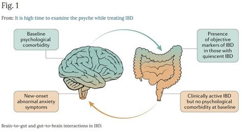 Bi Directional Relationship Between Inflammatory Bowel Disease Ibd