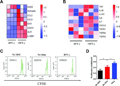 Ifn γ Treatment Licenses The Immunosuppressive Reprogramming Of