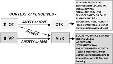 Frontiers The Oxytocin Vasopressin Pathway In The Context Of Love And