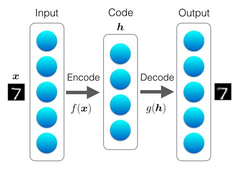 autoencoder 0 hot sex picture