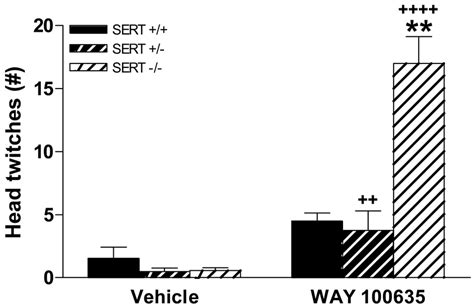 Way 100635 Induced Head Twitches The Selective 5 Ht 1a Antagonist Way