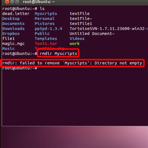 how to use the delete command in linux systran box