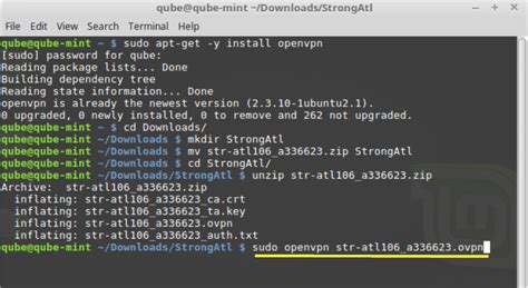 openvpn setup linux mint command line strongvpn