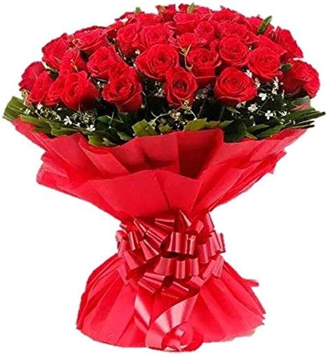 Awesome Compilation 1000 Breathtaking Red Rose Images In Stunning 4k