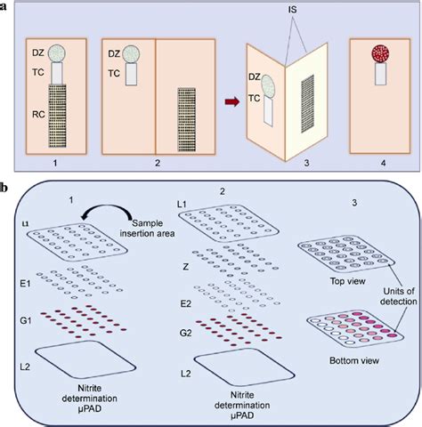 A Schematic Representations Of The Developed 1 2d 2 3d Microfluidic