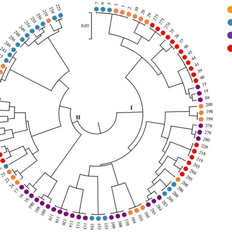 The Upgma Dendrogram Of 96 Saccharomyces Cerevisiae Isolates Based On