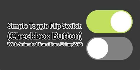 simple toggle flip switch checkbox button with animated transitions