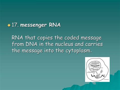 ppt chapter 3 genetics the science of heredity powerpoint