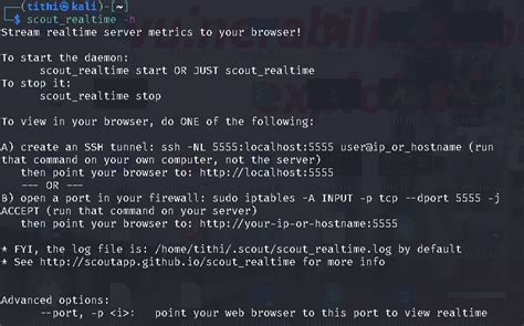 how to install and use scout realtime to monitor server