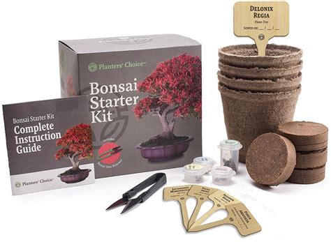 Best Bonsai Starter Kits Bonsai Tree Gardener