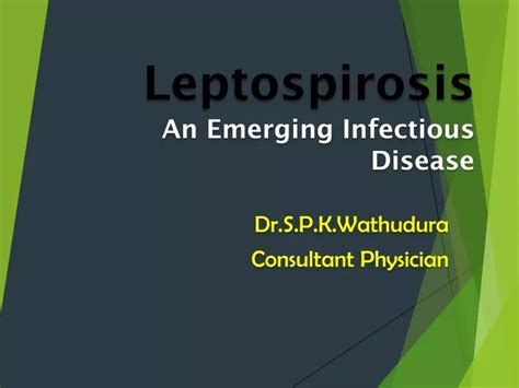 Ppt Leptospirosis An Emerging Infectious Disease Powerpoint Presentation Id 9626559
