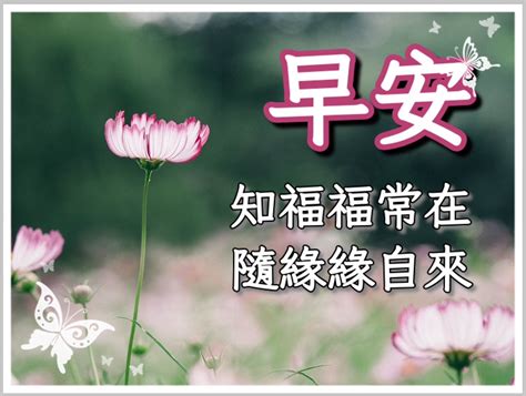 [免費]超強長輩圖產生器推薦，大量長輩圖背景和字體貼圖任選