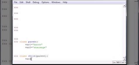 how to overwrite variables on a subclass in python python