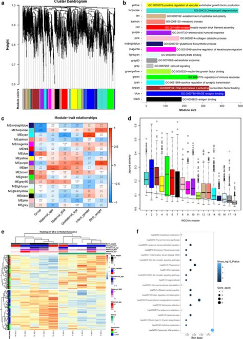 Critical Gene Co‐expression Network Modules Closely Correlated With