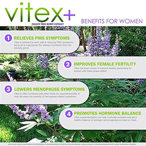 Vh Nutrition Vitex Vitex Chasteberry Supplement For Women Hormonal