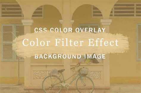 how to center an image in css very easily 22bulbjungle
