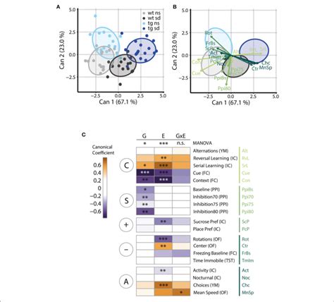 Canonical Discriminant Analysis Reveals Striking Group Differences