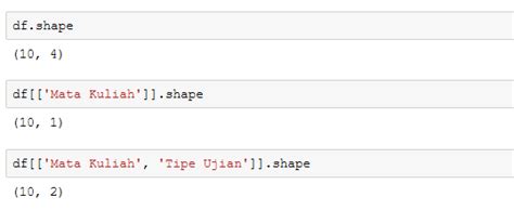 20 function di pandas python yang perlu diketahui pemula