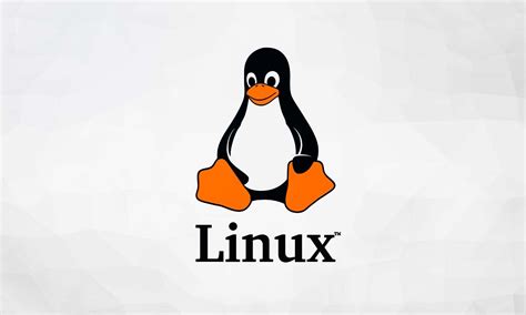 linux remplazará términos como master slave o whitelist
