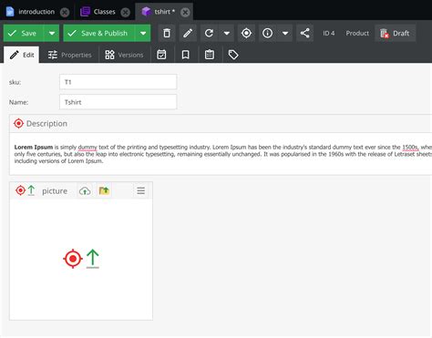 create a first project pimcore development documentation