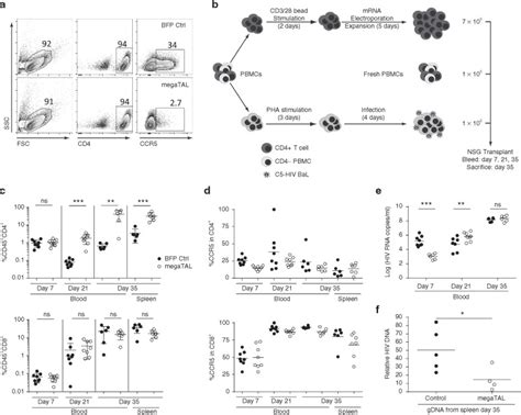 Efficient Modification Of The Ccr5 Locus In Primary Human T Cells With