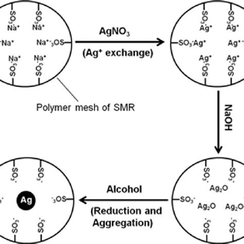 Scheme1 Route Of The Agnps Smr Catalyst Synthesis Download