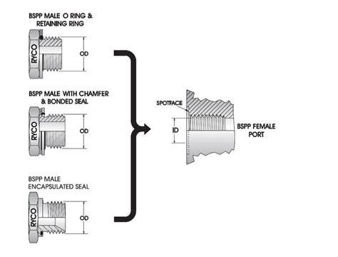 Thread Port Types Metric Bsp Sae Npt Hydraxio China Ss Hydraulic