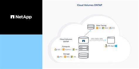 real world experiences with cloud volumes ontap netapp blog