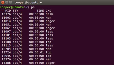 viewing and killing processes in linux