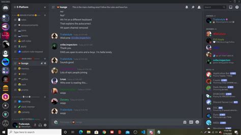 professionally set up discord server with best design by trailerstyle