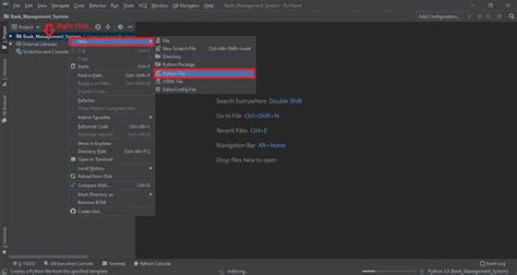 bank management system project in python with source code