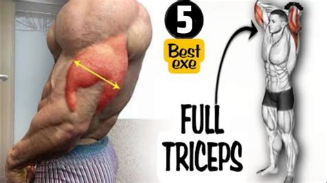 5 Most Effective Triceps Workout At Gym Bigger Triceps Exercise