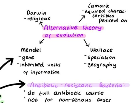 Gcse Biology Mindmaps Etsy Canada