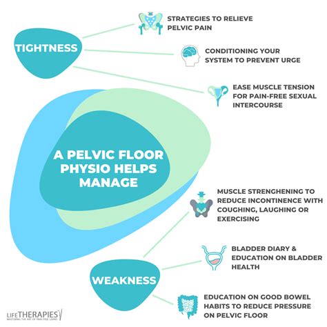 Pelvic Floor Physiotherapy • Life Therapies Ottawa