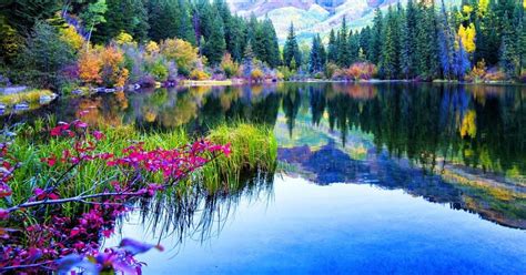Incredible Wallpaper Pemandangan Alam 3d Bergerak 2023 Mrpintar Com