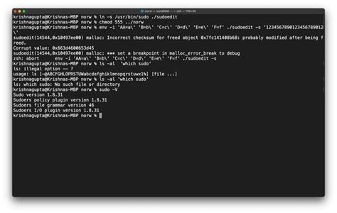 how to update sudo packages manually to fix the buffer overflow