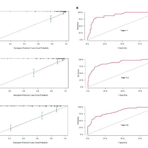 Performance Of The Nomogram For Predicting Tumor Recurrence Or