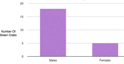 bar graph and histogram are they the same partners in