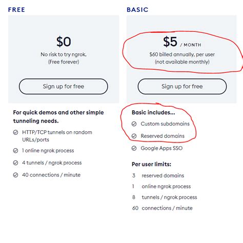 ngrok random url problem