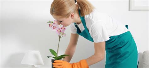 How To Deep Clean Your Kitchen Healthy Home Housekeeping