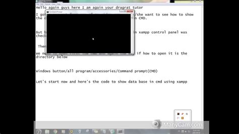 how to show database using xampp and mysql in cmd youtube