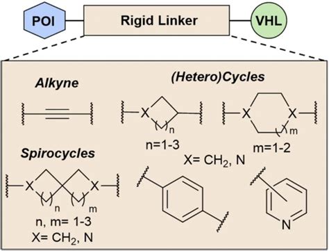 Protac Design Guide Synthesis Strategy For Vhl Protac Linker