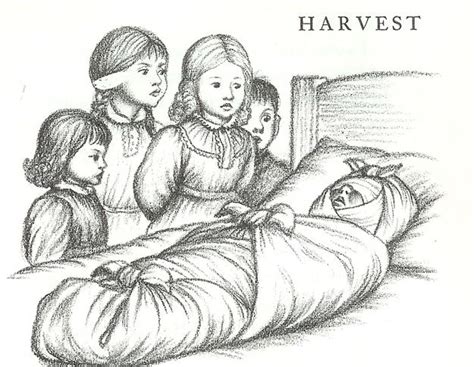 88 Old Wives Tales From The 1800s Artofit