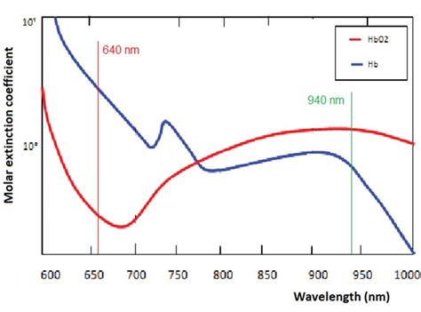Absorption Spectra Of The Oxygenated And Deoxygenated Hemoglobin
