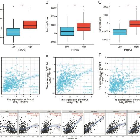 Correlations Of Tumor Immune Microenvironment Component Scores Immune