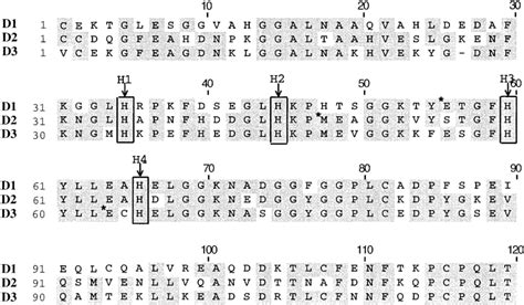 peptide sequence alignment of the first 120 n terminal amino acids of
