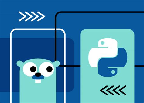 golang vs python for web development asap developers python