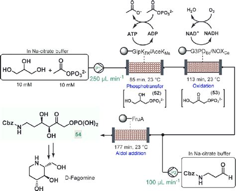 Scheme 23 Continuous Flow Biocatalytic Cascade For The Asymmetric