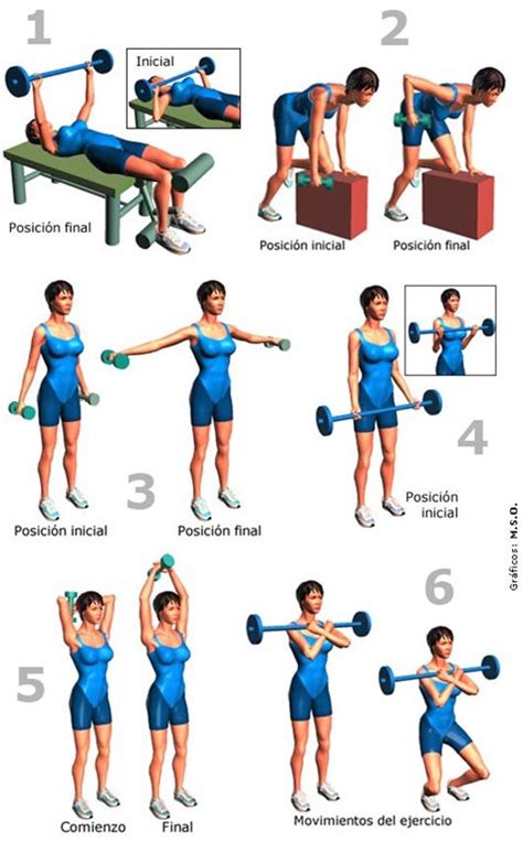 Ejercicio De Pesas Para Mujeres En Casa ~ Tecnicas De Boxeo Y