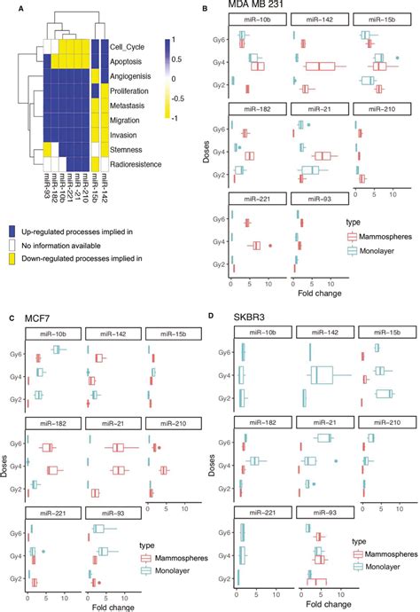 Relative Gene Expression Of Selected Mirnas Differentially Expressed By